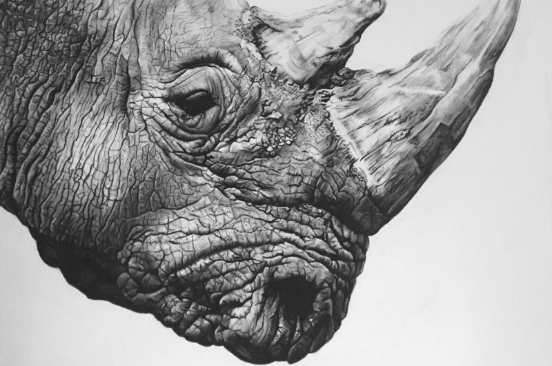 Gallery - Violet Astor