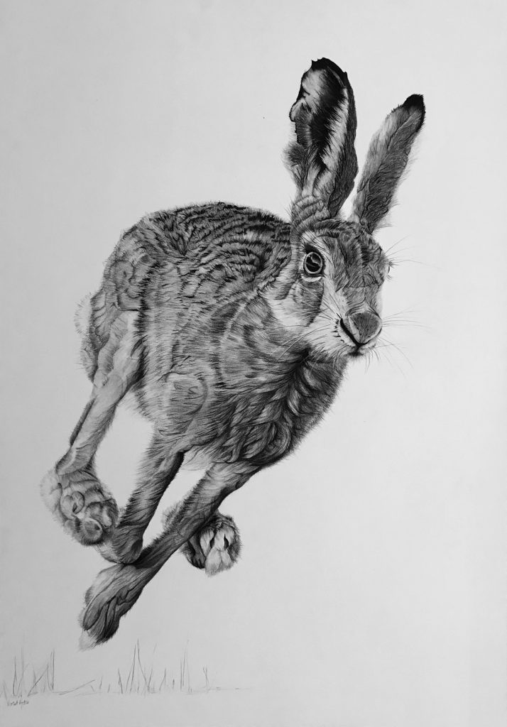 Commissions - Violet Astor