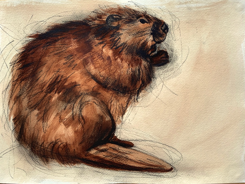 British Beaver - Violet Astor